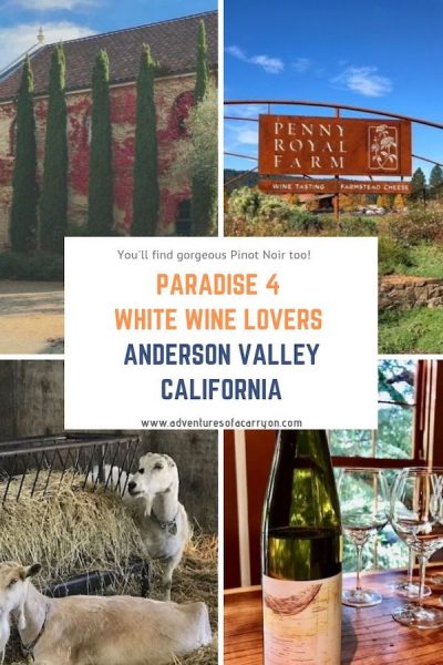 Anderson Valley A Paradise for White Wine Lovers