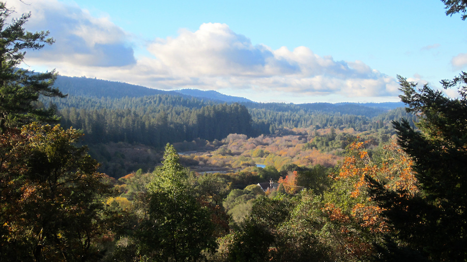 Anderson Valley A Paradise for White Wine Lovers